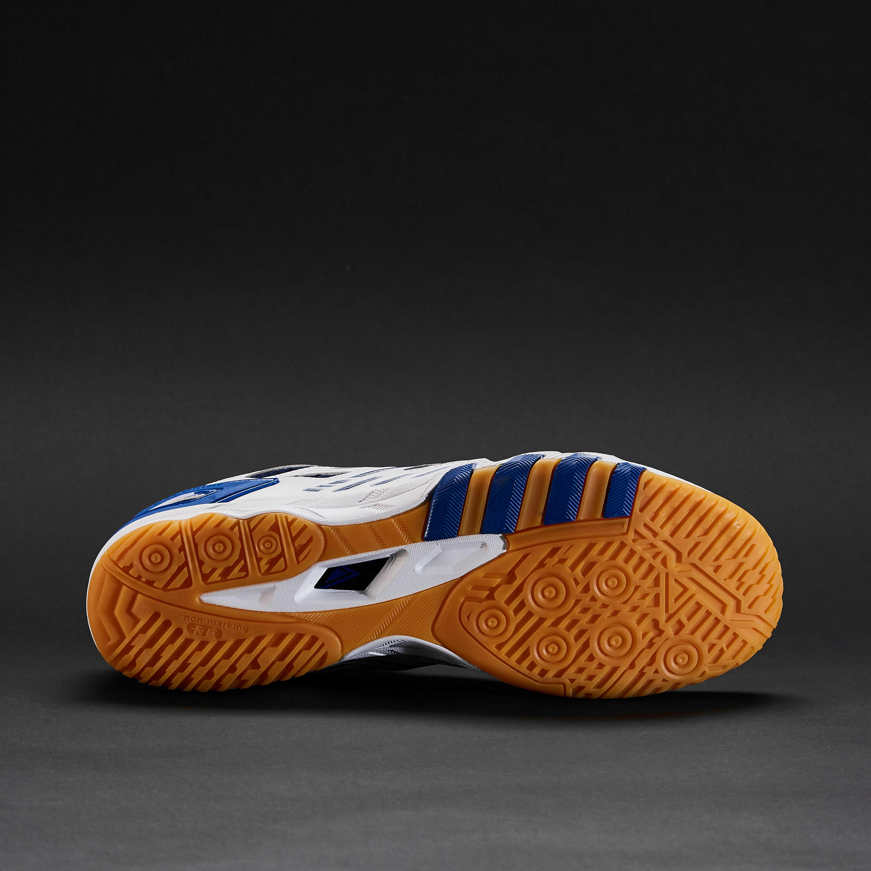 Table Tennis Shoes TTS 560 - Blue/White PONGORI | Decathlon