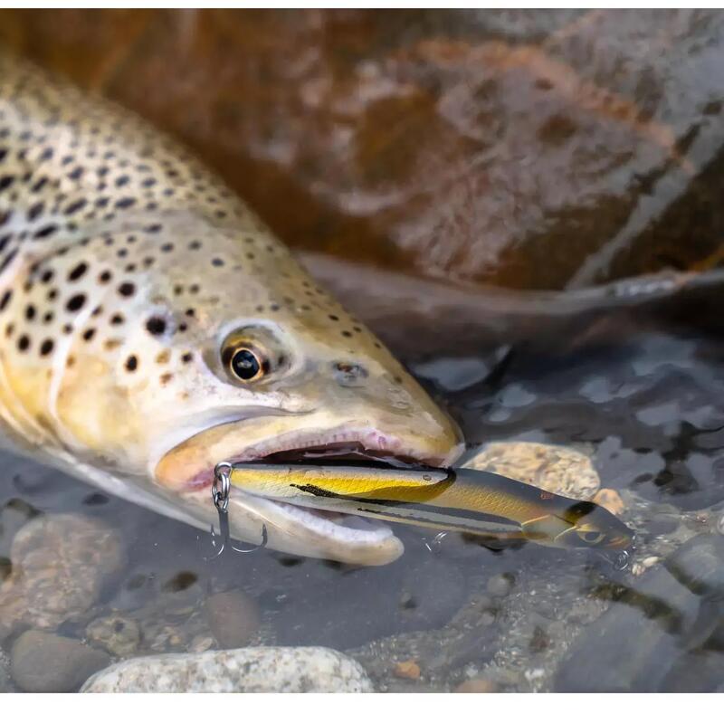 POISSON NAGEUR TRUITE : Comment l'utiliser