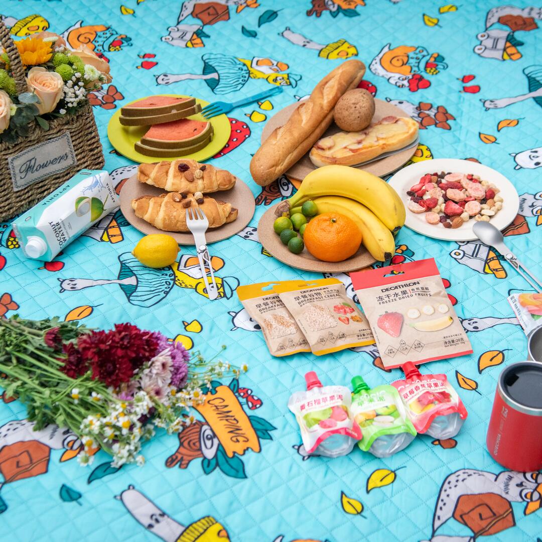 Where to buy a picnic mat and choose the right one