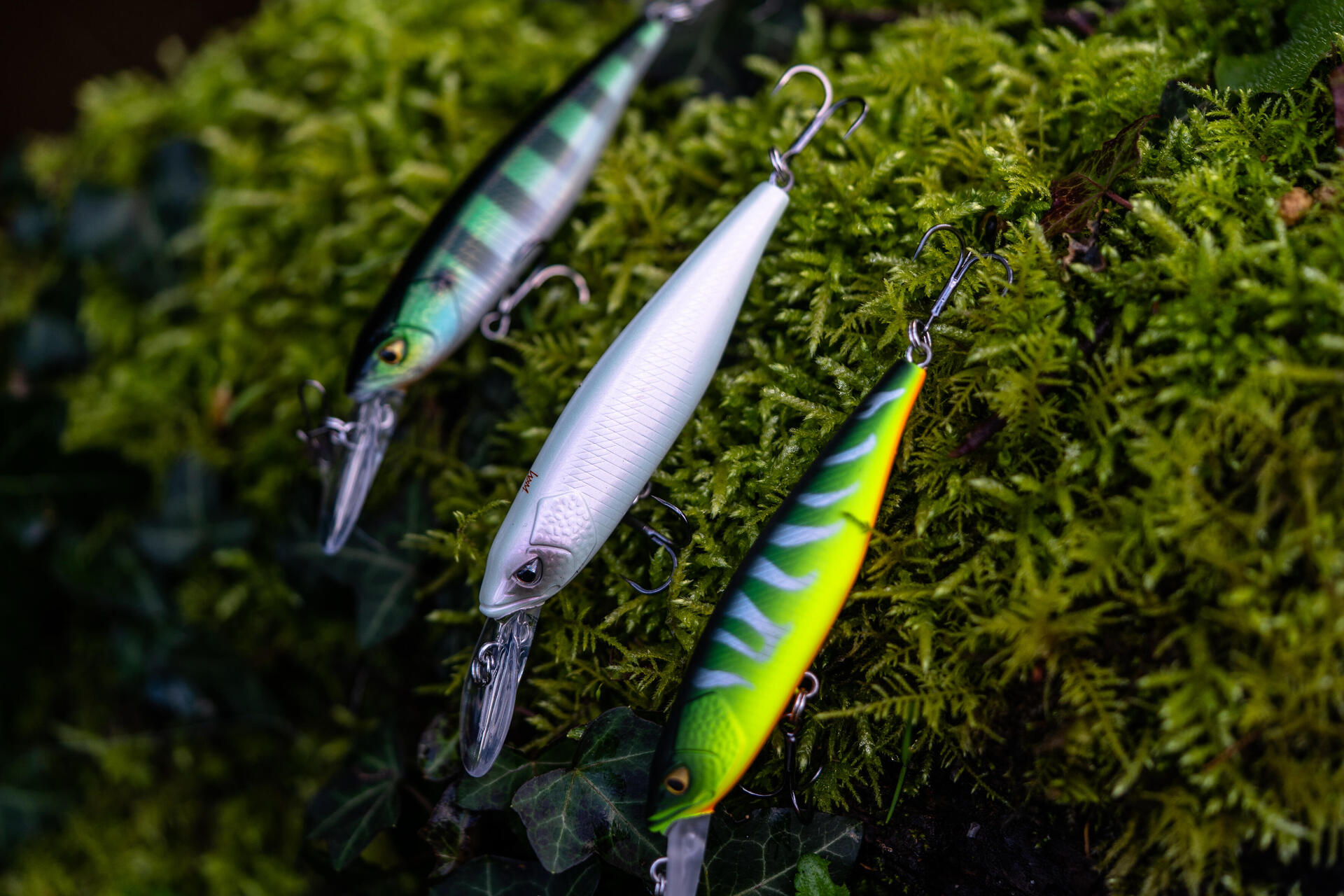 Welk kunstaas kan je het best gebruiken?