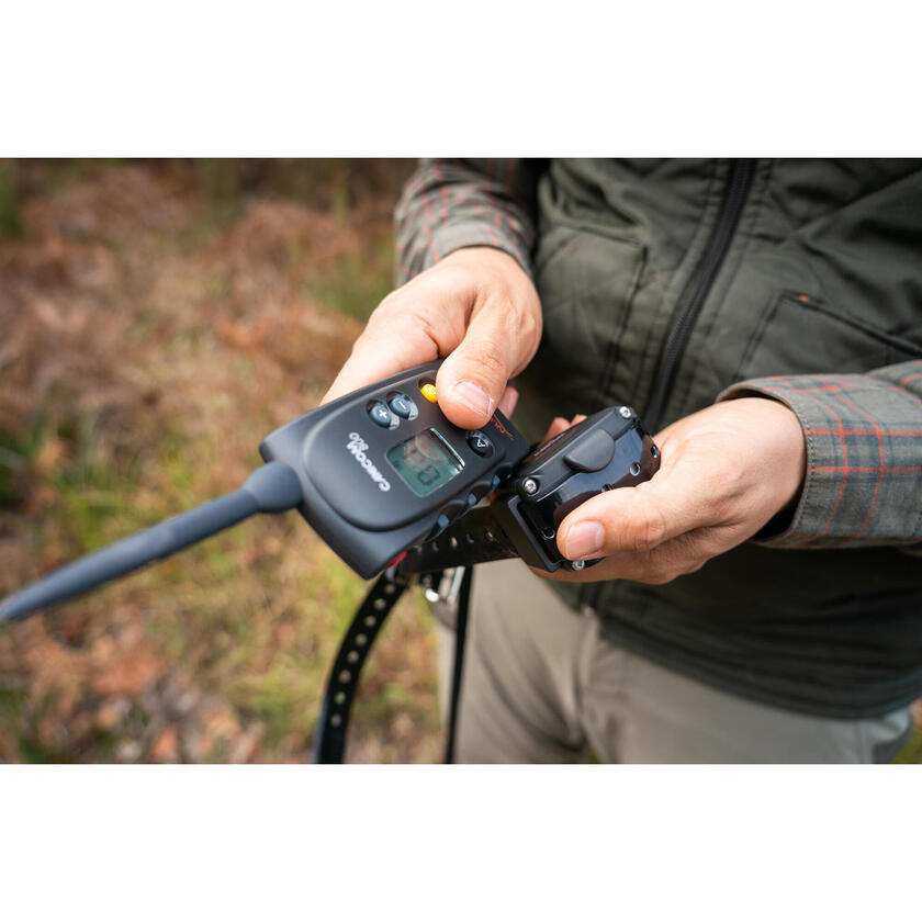 PACK COLLIER + TELECOMMANDE DE DRESSAGE POUR CHIEN NUM'AXES CANICOM 800 ...