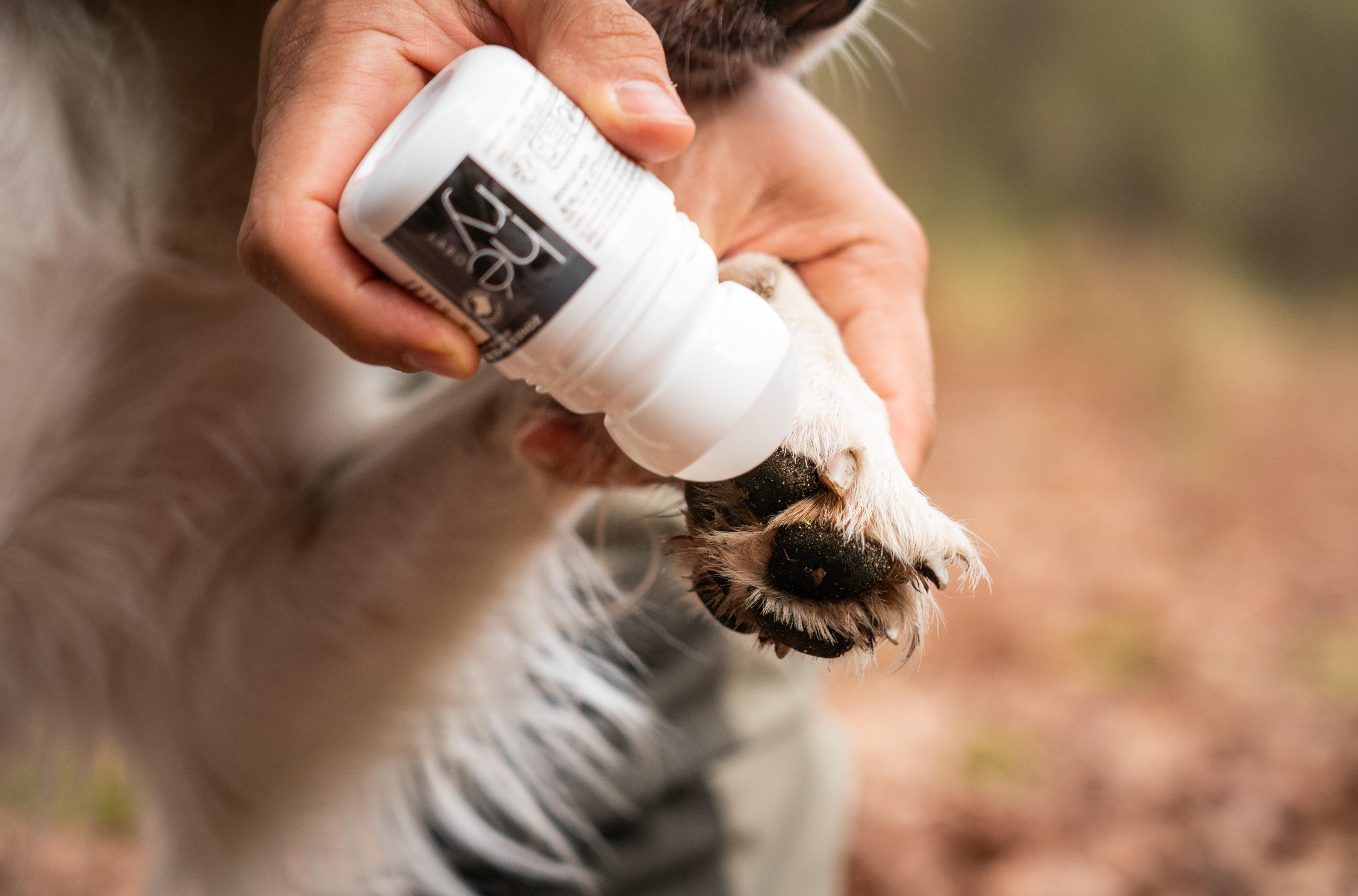 DOG PAW PAD LOTION - Decathlon