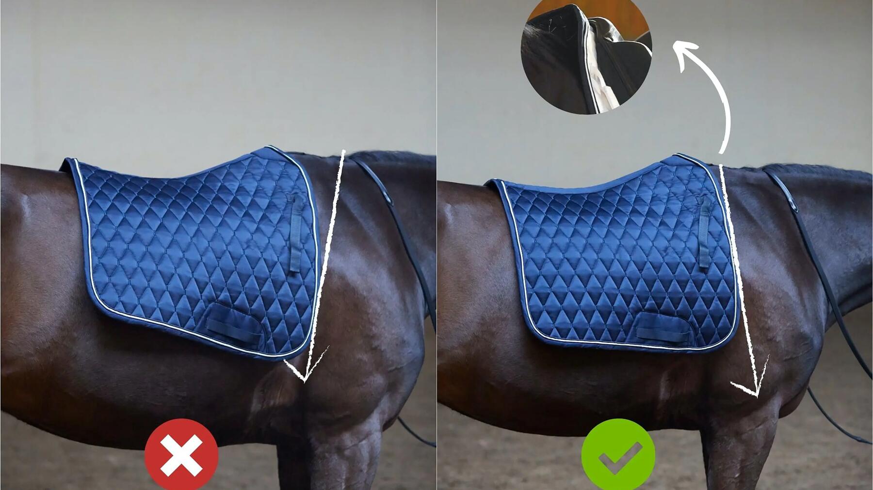 Pferd richtig satteln: So geht's!