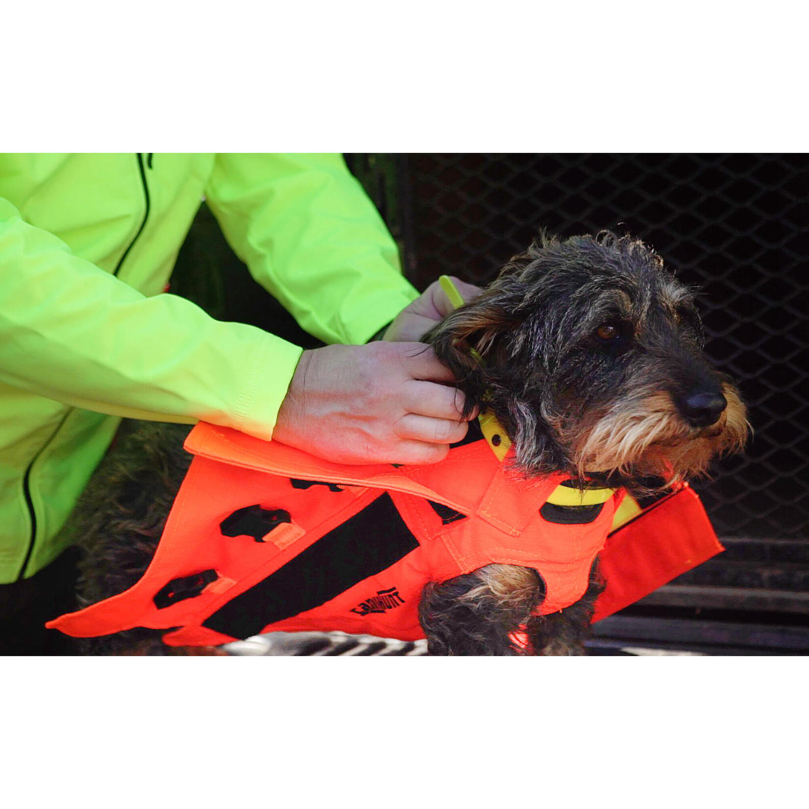 Gilet de protection pour chien Canihunt Dog Armor V3 CANIHUNT | Decathlon