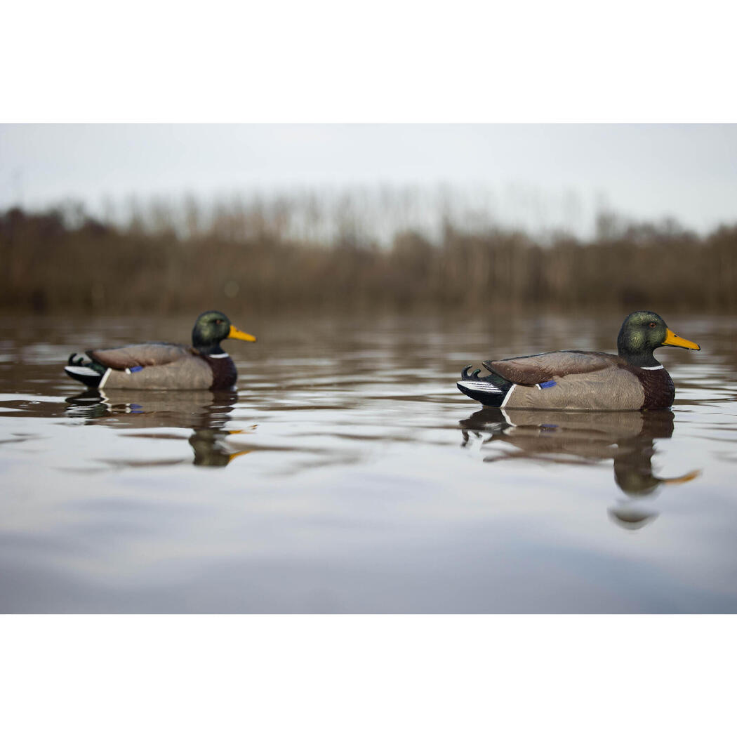 APPELANT COLVERT MALE 500 HD SOLOGNAC | Decathlon