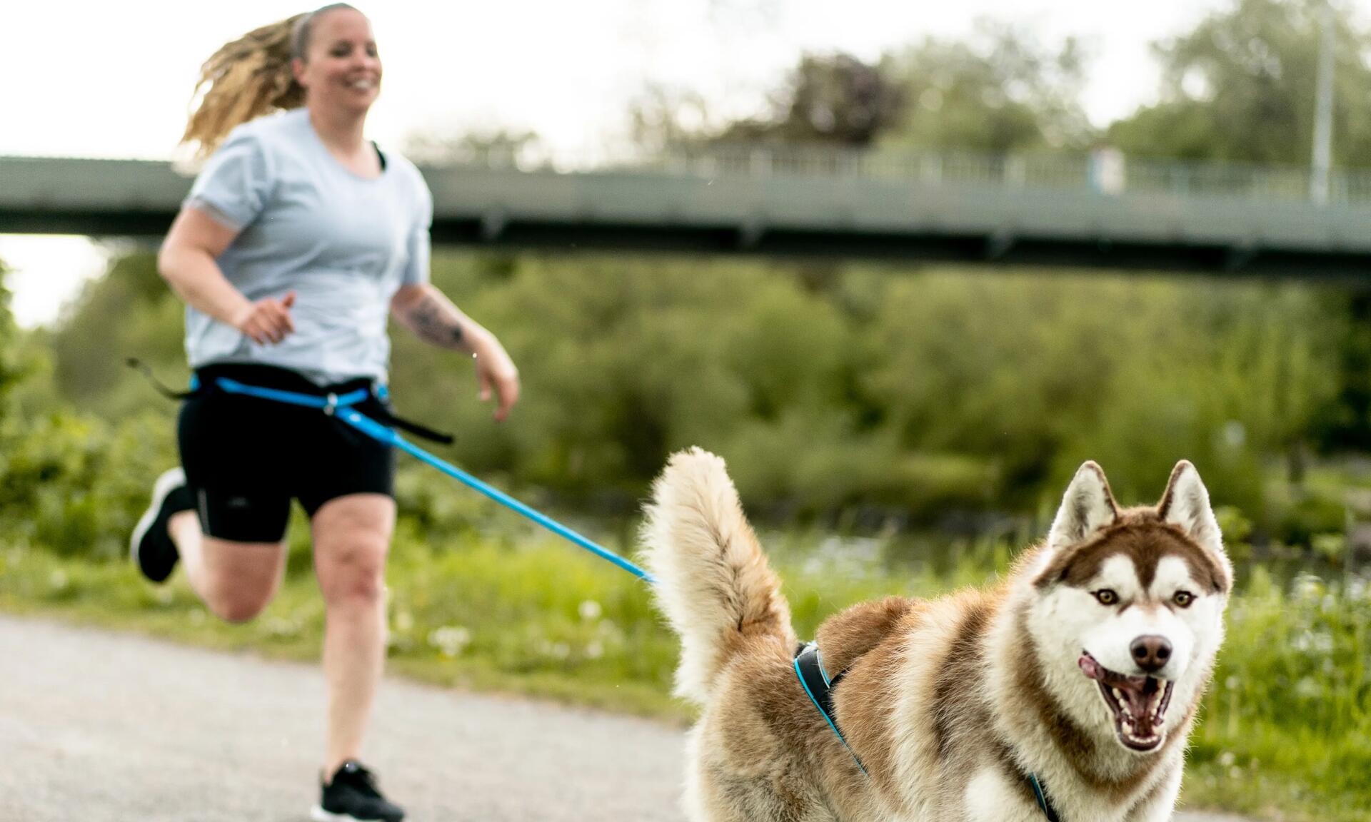 Faire du sport avec son chien
