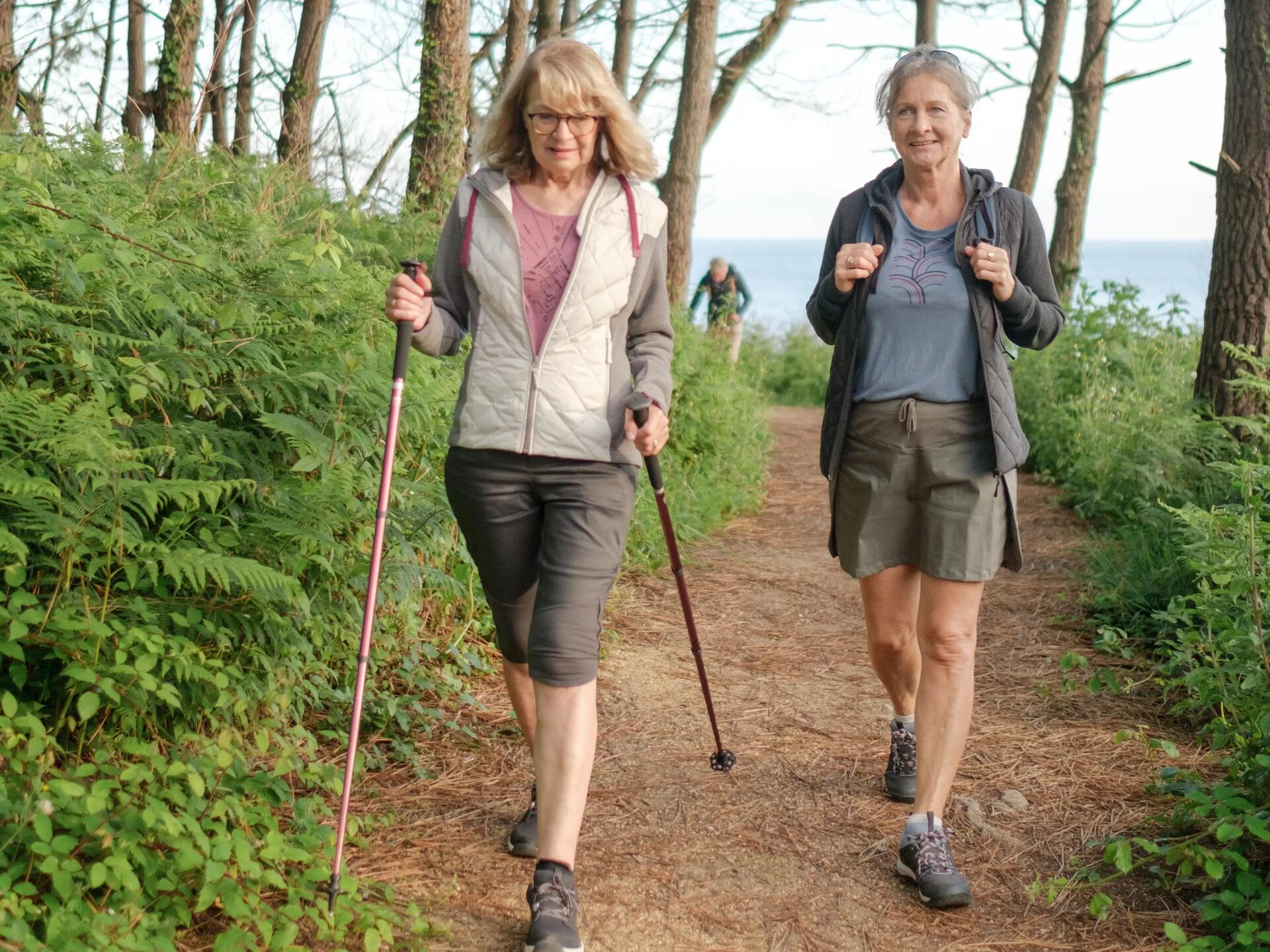 Wandelen in Overijssel op deze mooie plekken