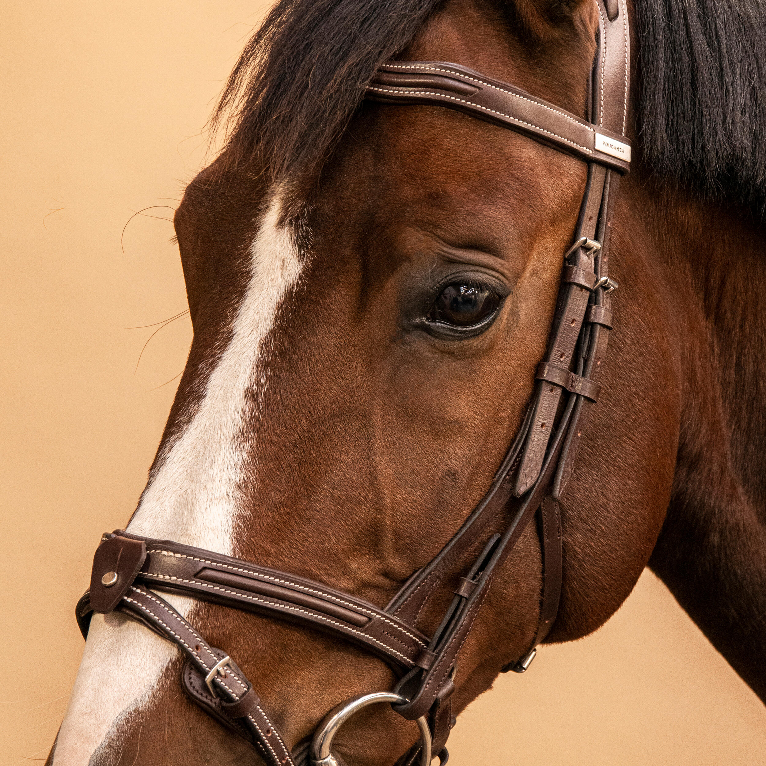 Bride d'équitation en cuir muserolle française pour cheval et poney ...