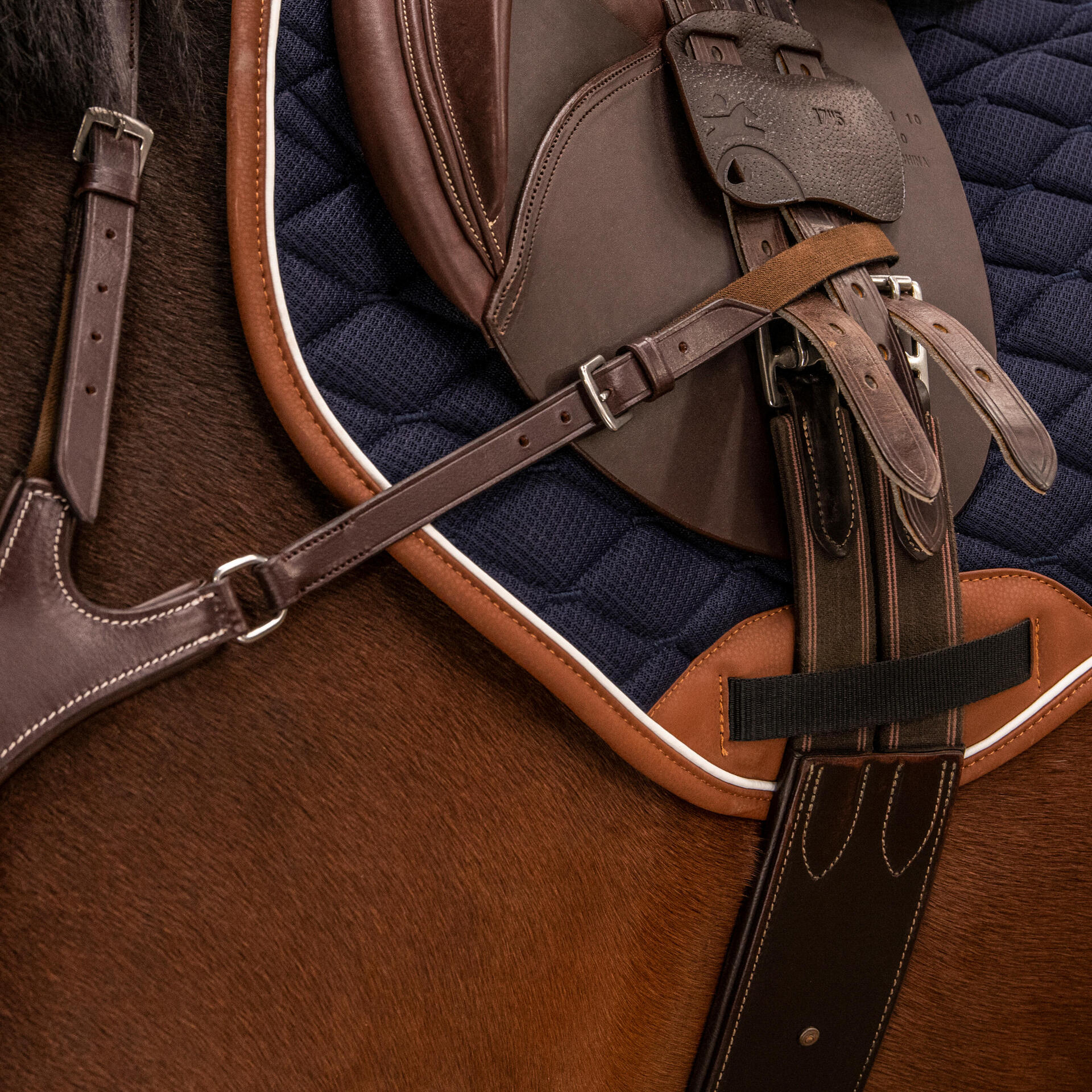 Pechopetral Caballo/Poni Marrón Oscuro 5 Puntos | Decathlon