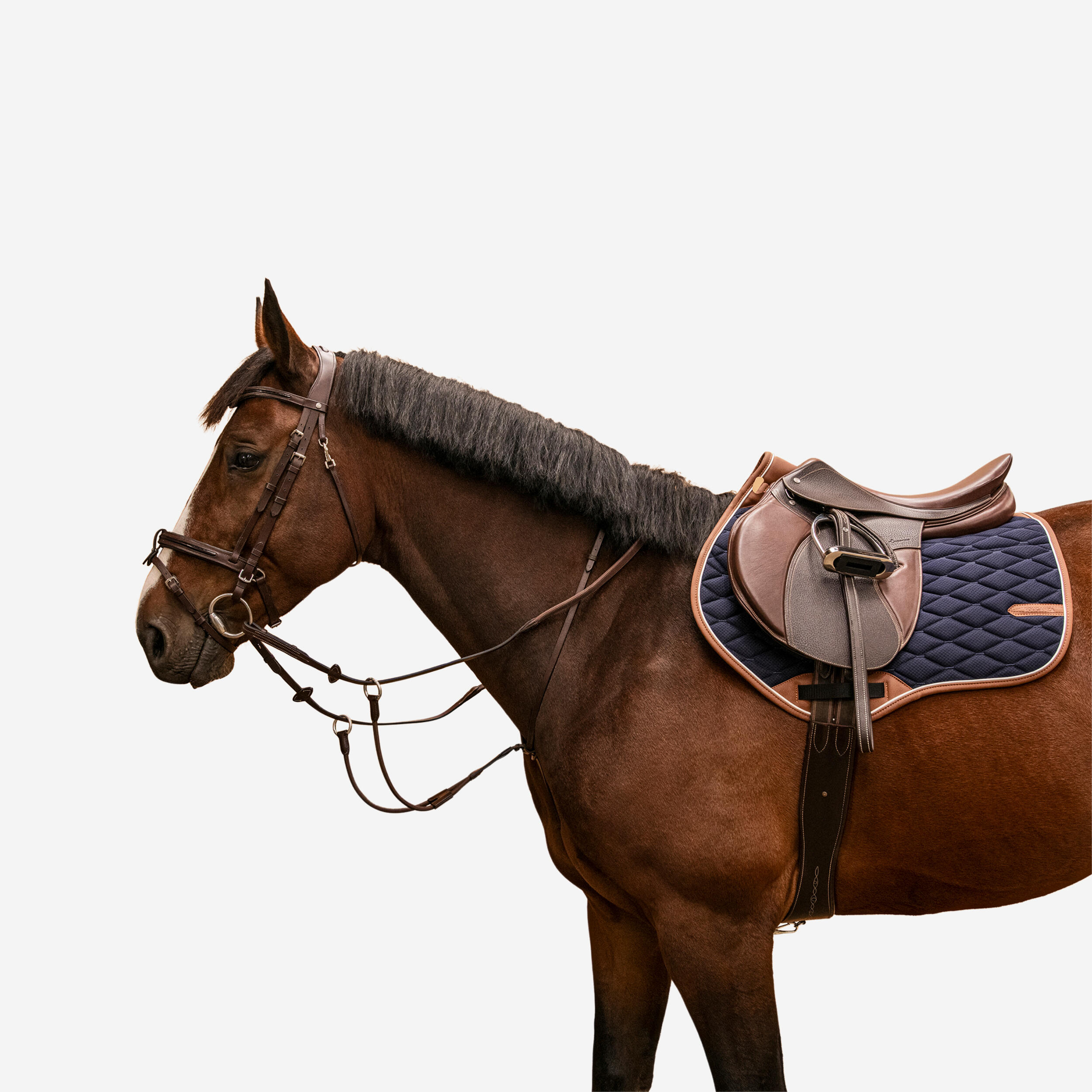 Martingal elastisch Pferd/Pony - dunkelbraun - Decathlon