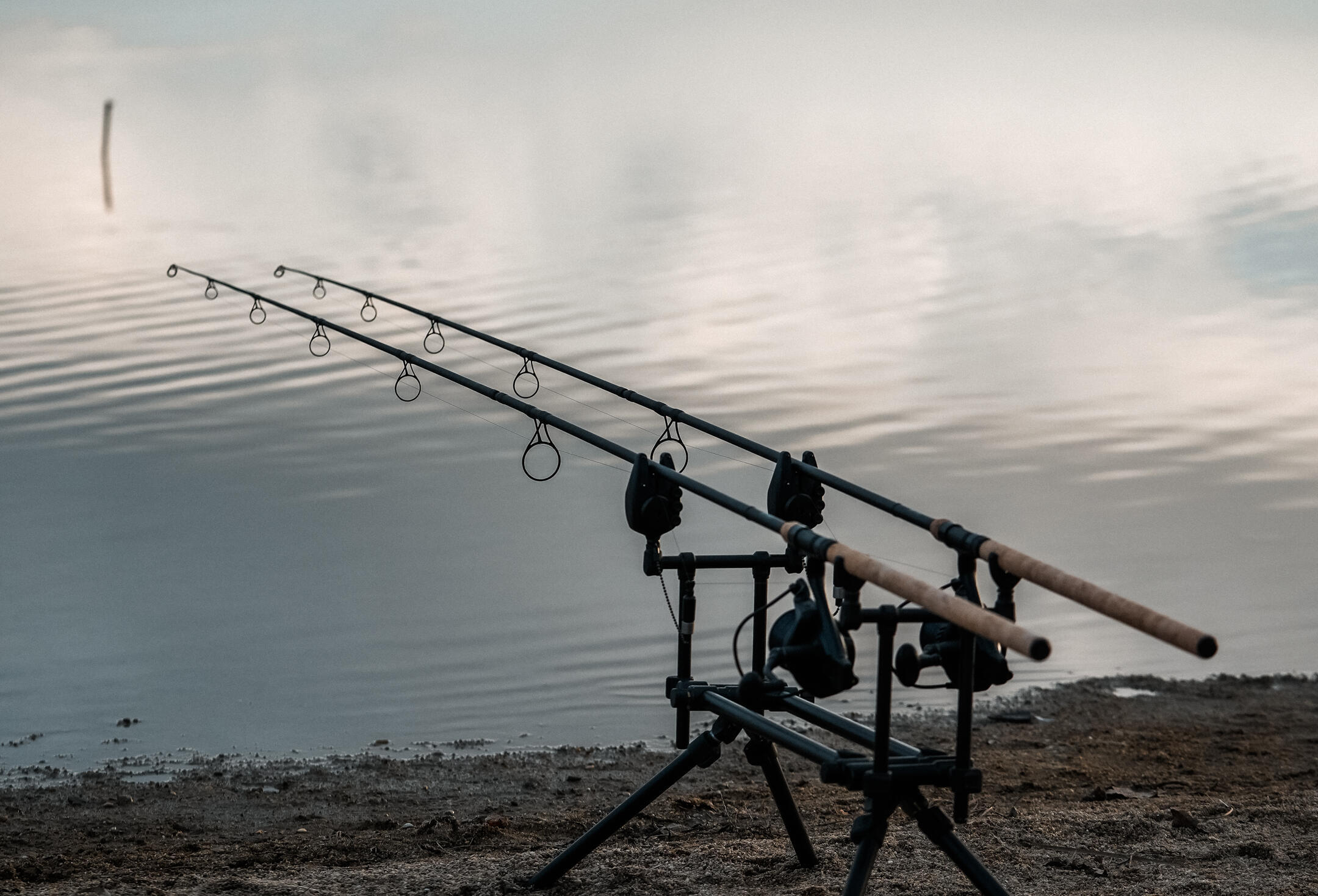 COMO ESCOLHER O ROD POD?