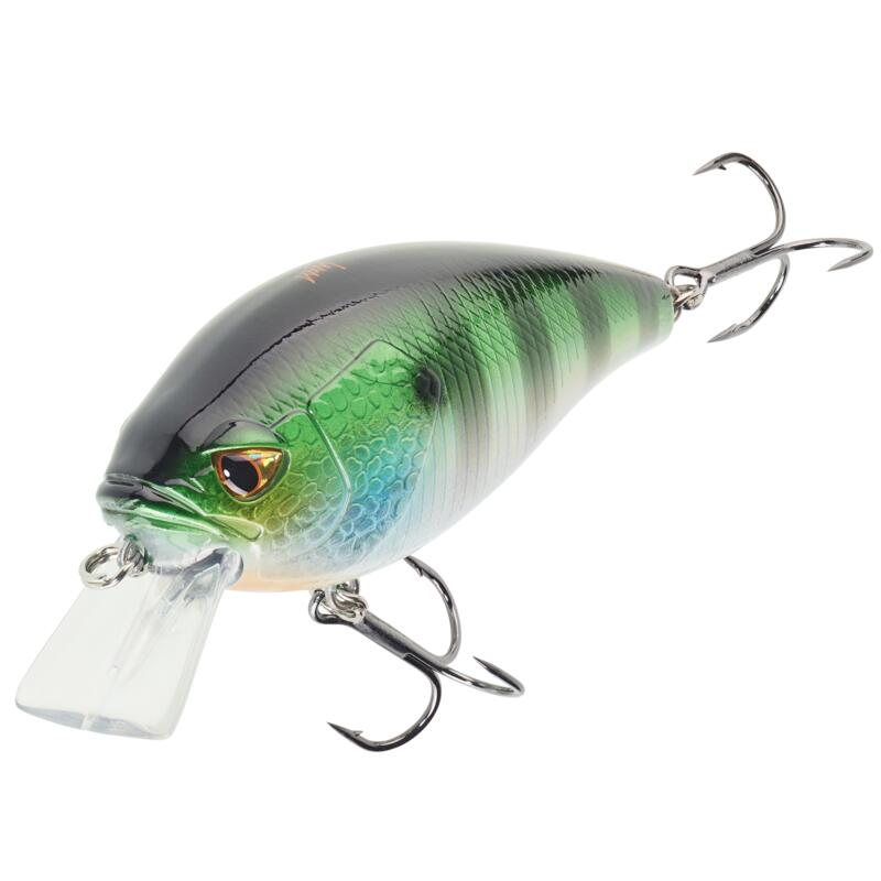 CRANKBAIT HARD LURE SHALLOW RUNNER WXM CRKSR 70F GREEN BACK CAPERLAN ...