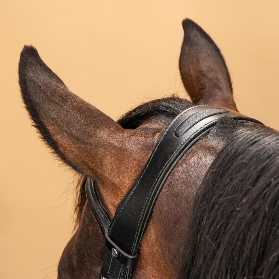 Filet équitation cuir muserolle française glossy Cheval et Poney - 580 ...