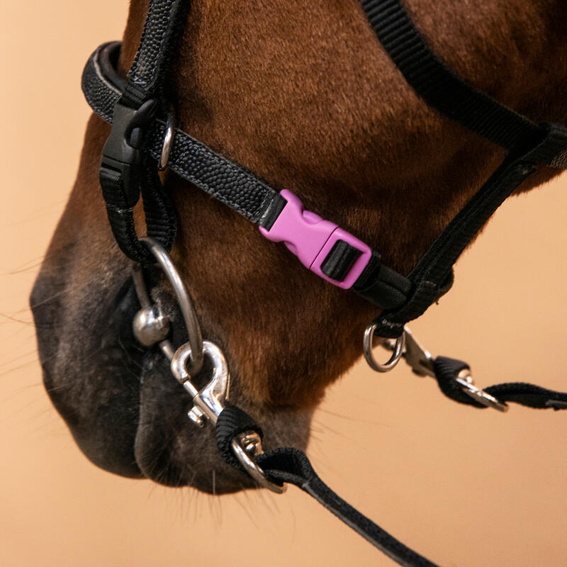 Kantár + szár, szintetikus, kezd knek - 100-as FOUGANZA - Decathlon