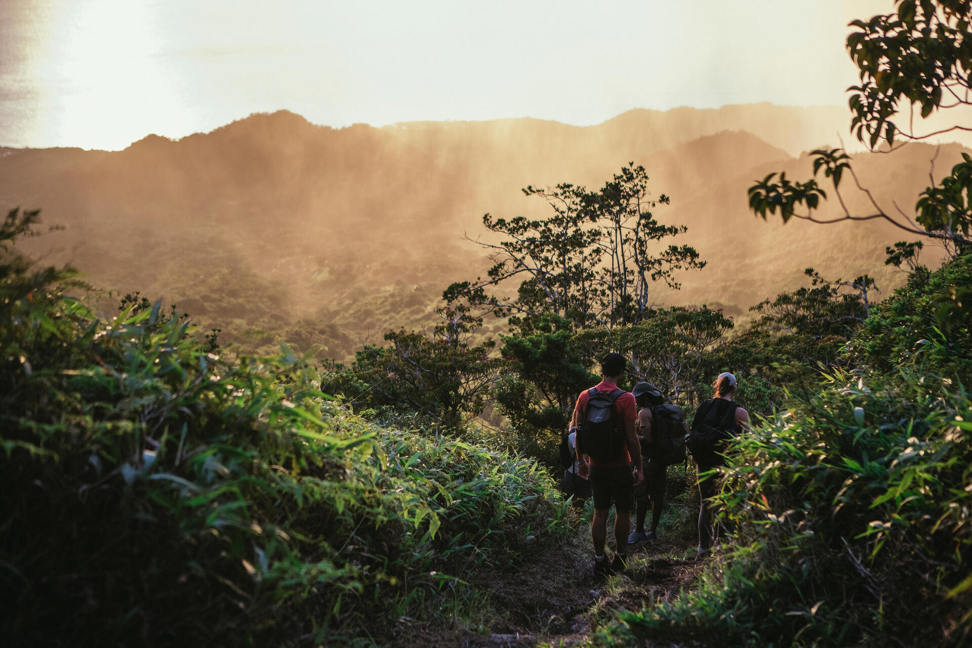 Welk type backpacker ben jij?