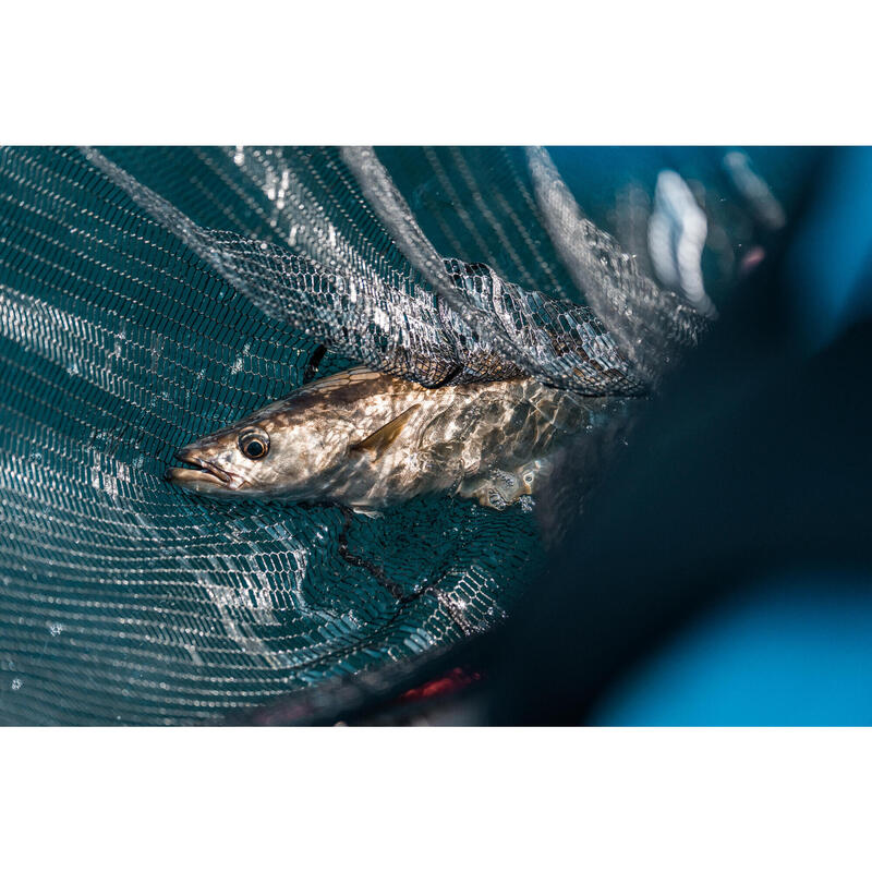 Deniz Balıkçılığı Sahte Yem Kaşık - 110g - Pembe Ringa Balığı - Biastos ...