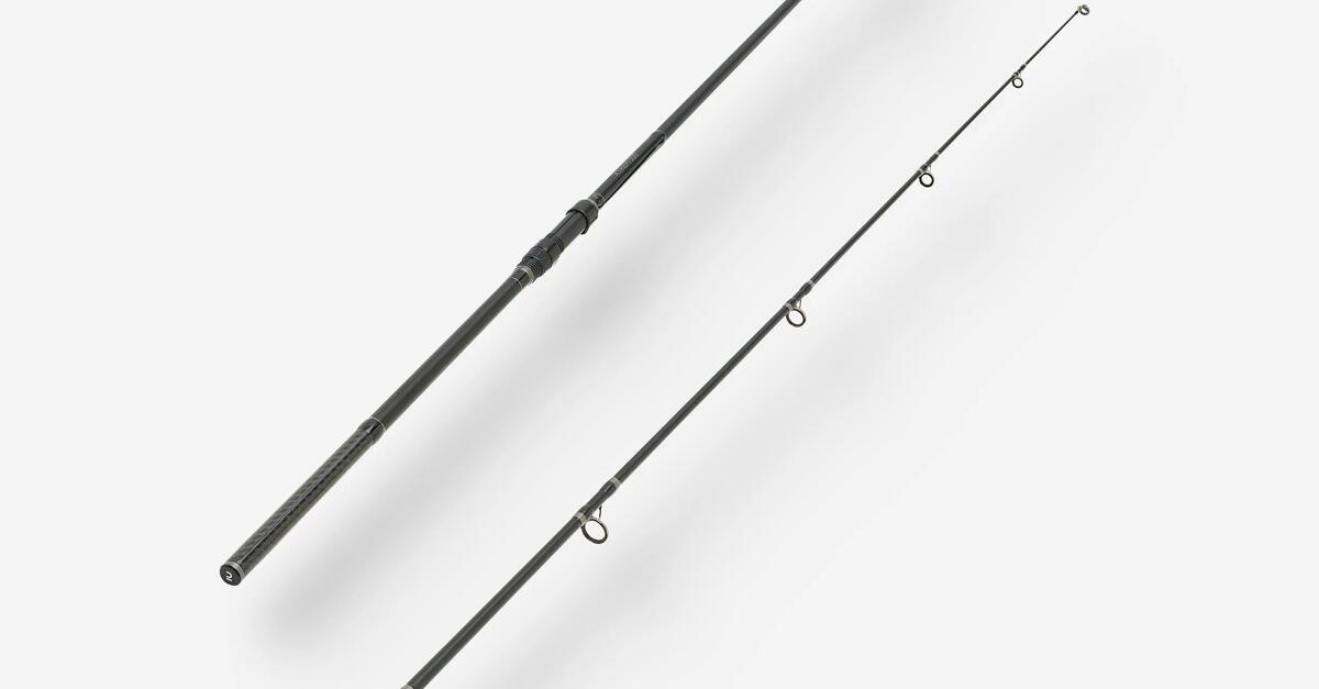 KARPFENRUTE XTREM 500