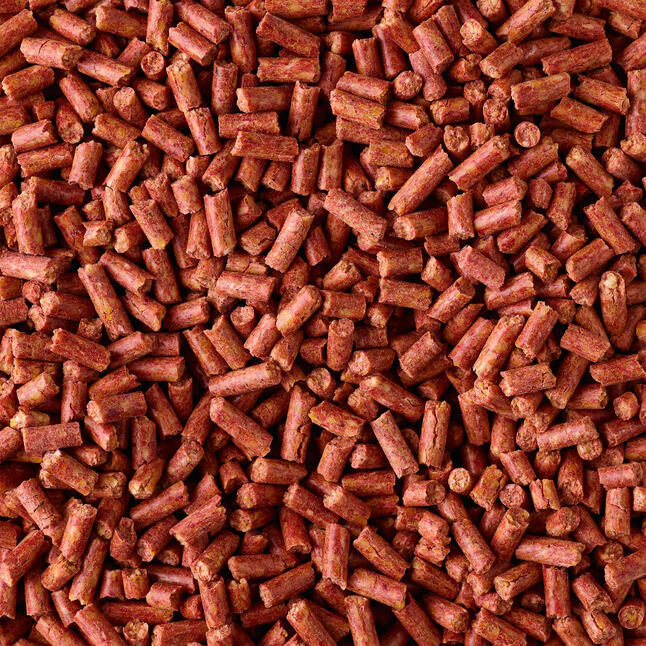 GOOSTER PELLET BABY CORN FRAISE 4MM 0,7 KG POUR LA PECHE DE LA CARPE AU COUP CAPERLAN | Decathlon