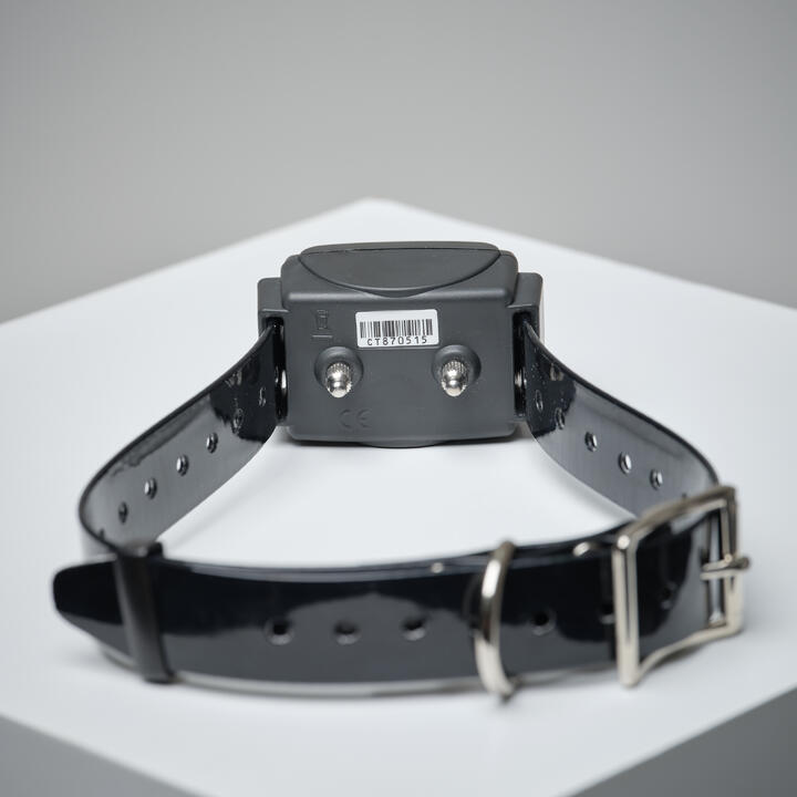 PACK COLLIER + TELECOMMANDE DE DRESSAGE POUR CHIEN NUM'AXES CANICOM 800 ...