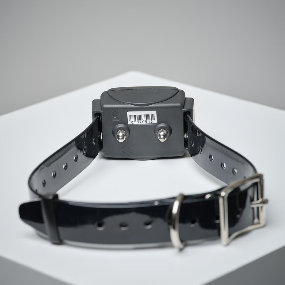 PACK COLLIER + TELECOMMANDE DE DRESSAGE POUR CHIEN NUM'AXES CANICOM 800 ...