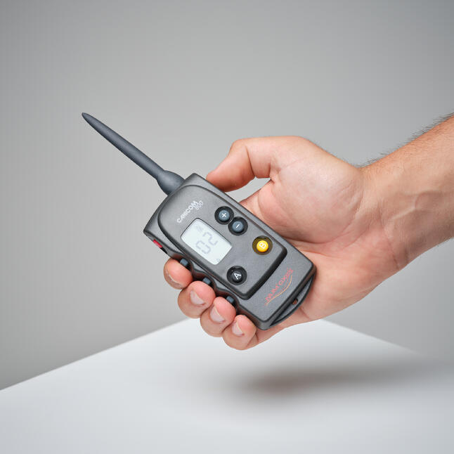 PACK COLLIER + TELECOMMANDE DE DRESSAGE POUR CHIEN NUM'AXES CANICOM 800 ...