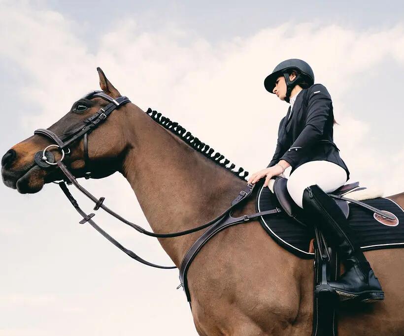 Welke soorten teugels zijn er?