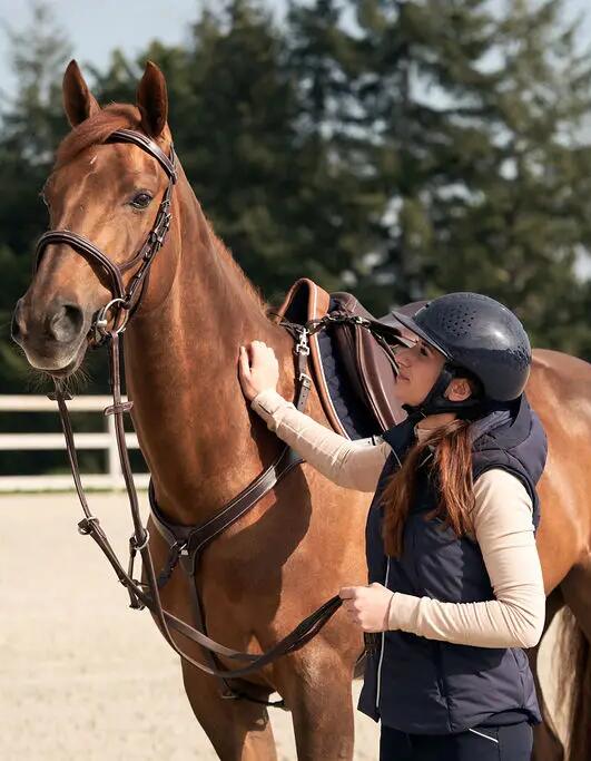 Welke soorten teugels zijn er?