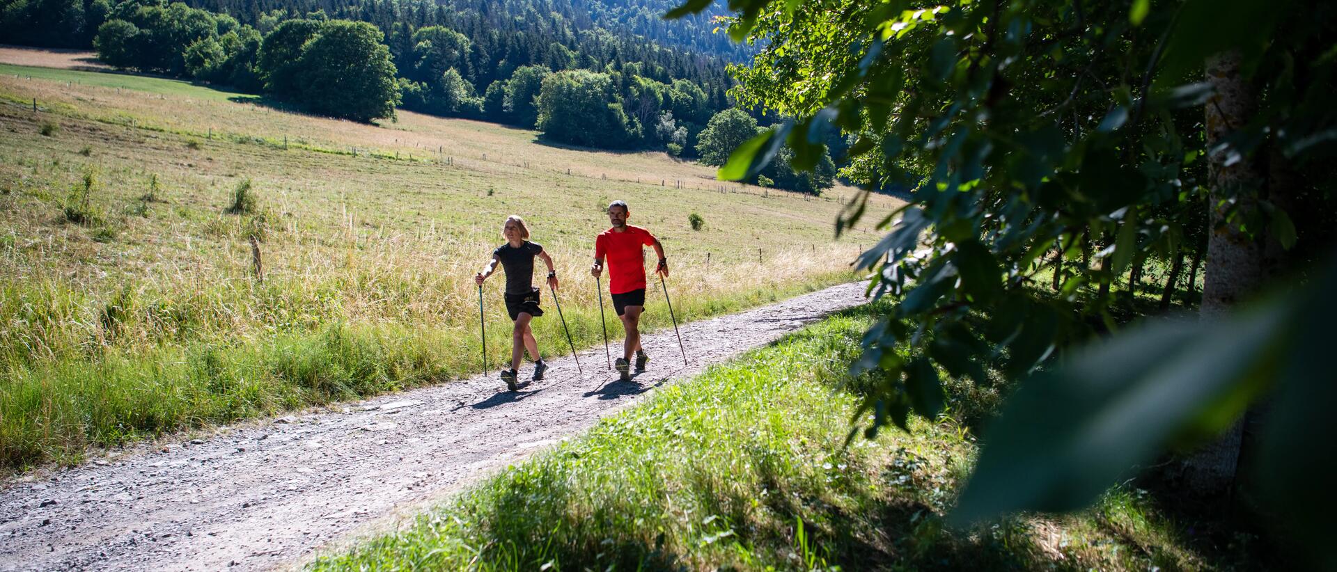 How to Choose Your Nordic Walking Poles