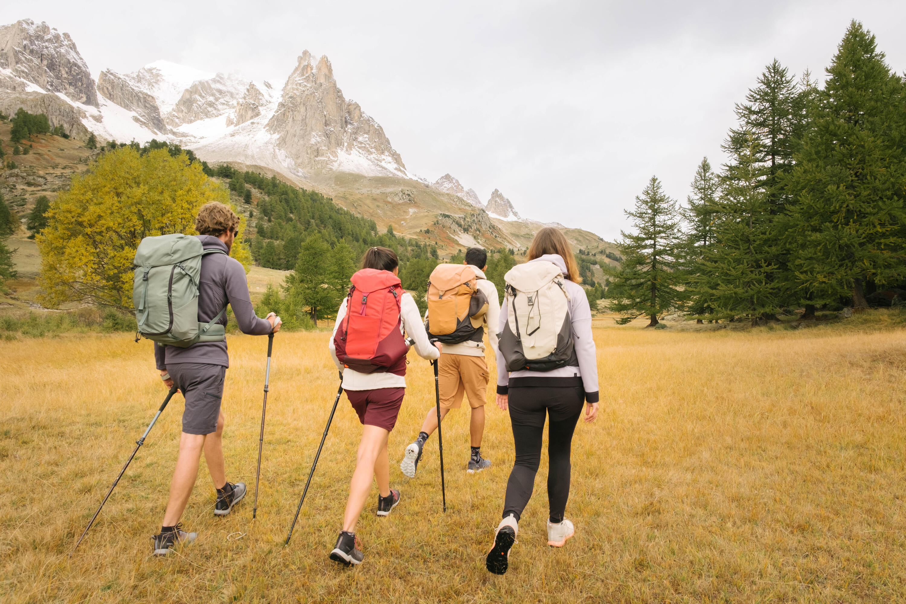 Mountain Walking 30 L Backpack MH500