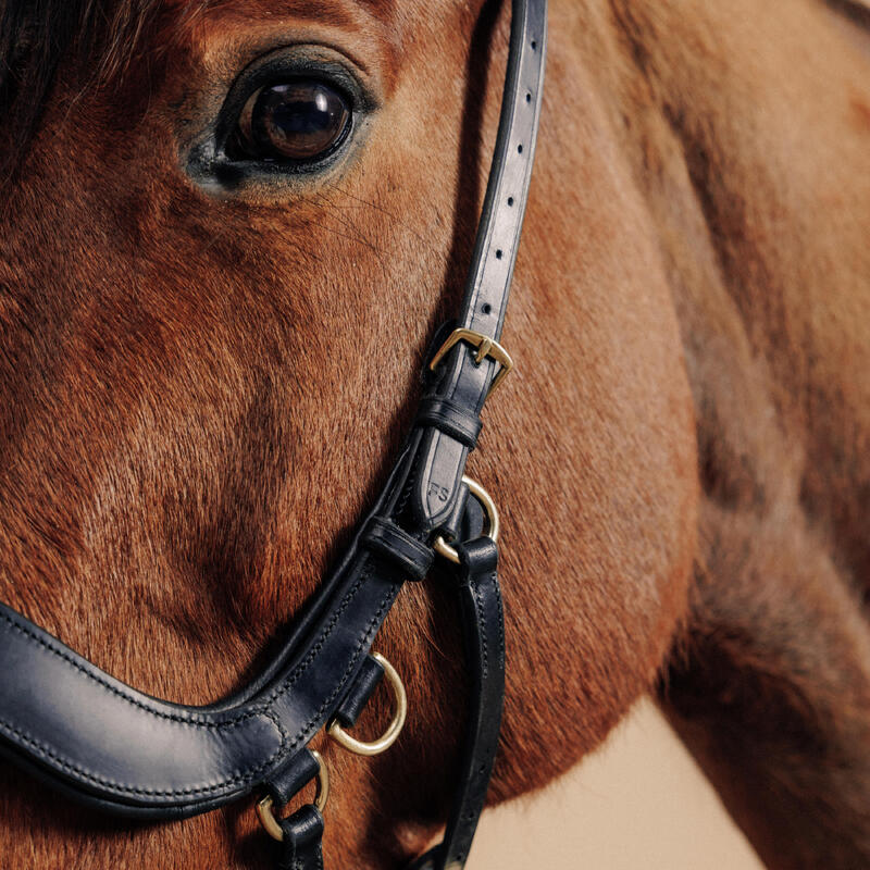 Horse and Pony Bitless Bridle - Black FOUGANZA - Decathlon