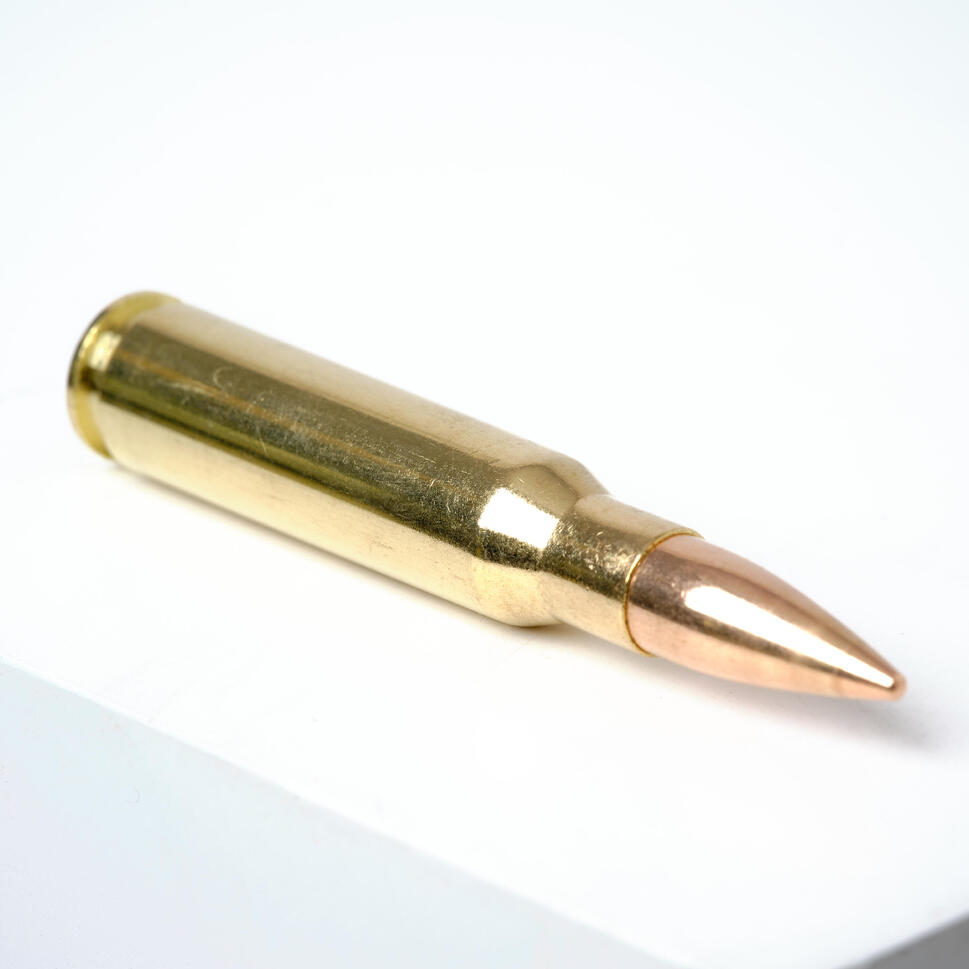 SOLOGNAC Munitie voor sportschieten 308 WINCHESTER TRAINING x 50 ...