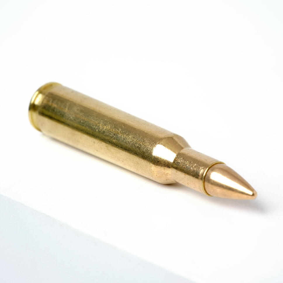 MUNITION DE TIR SPORTIF 222 REMINGTON FMJ TRAINING X 100q SOLOGNAC ...