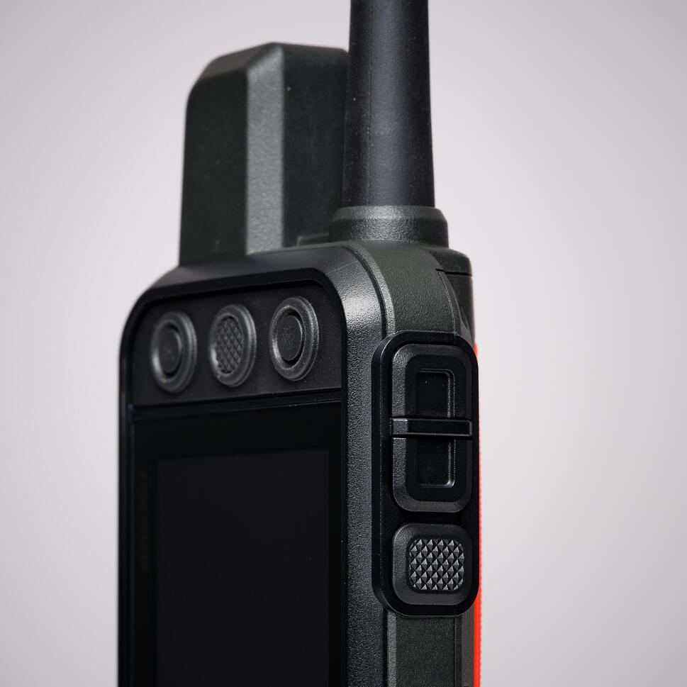 Pack collier + télécommande de repérage/dressage chien garmin alpha 200 ...