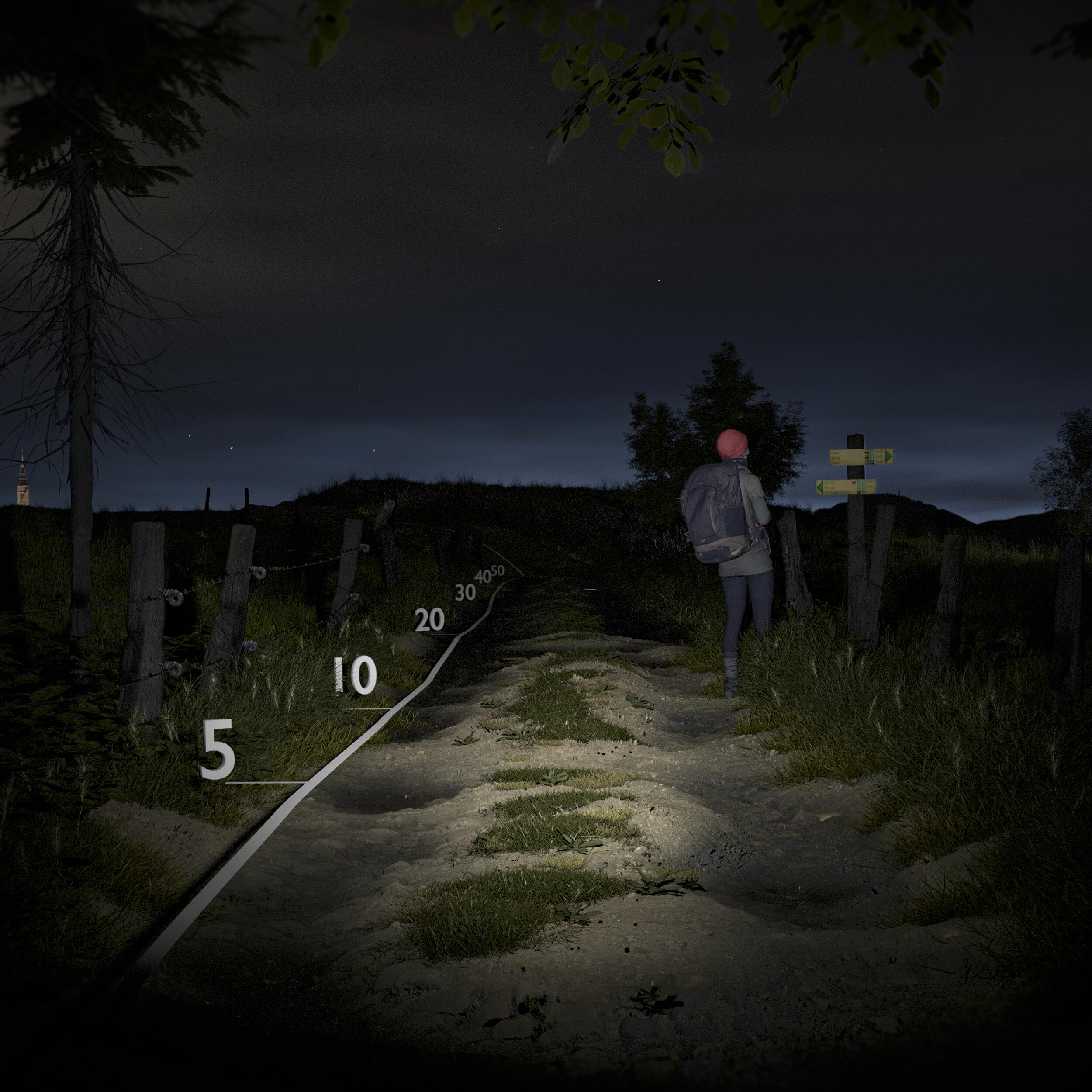 TL 100 hiking battery-powered flashlight 100 lm - Vermilion, smoked ...