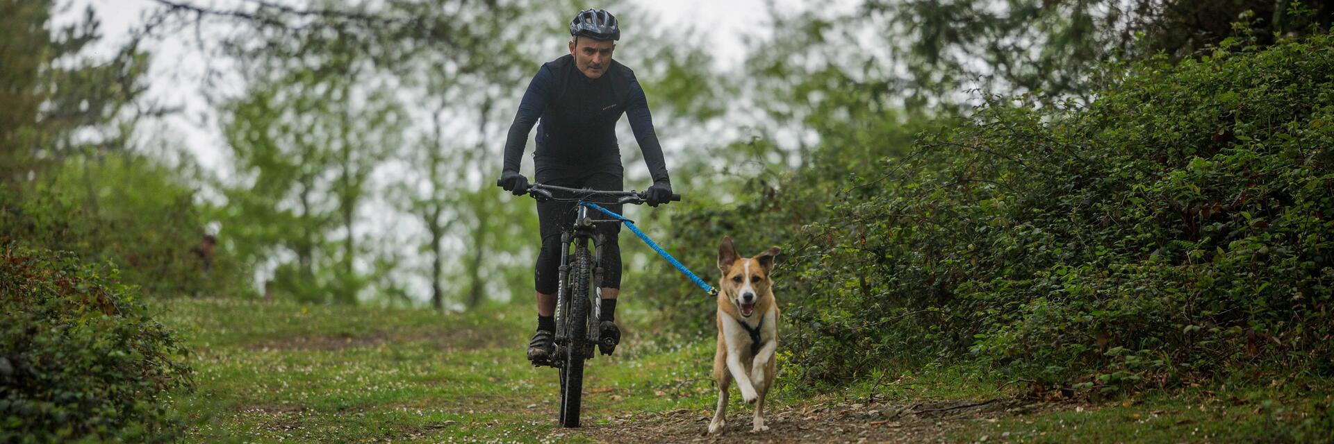Jaka smycz dla psa? Sprawdź, jaką smycz wybrać