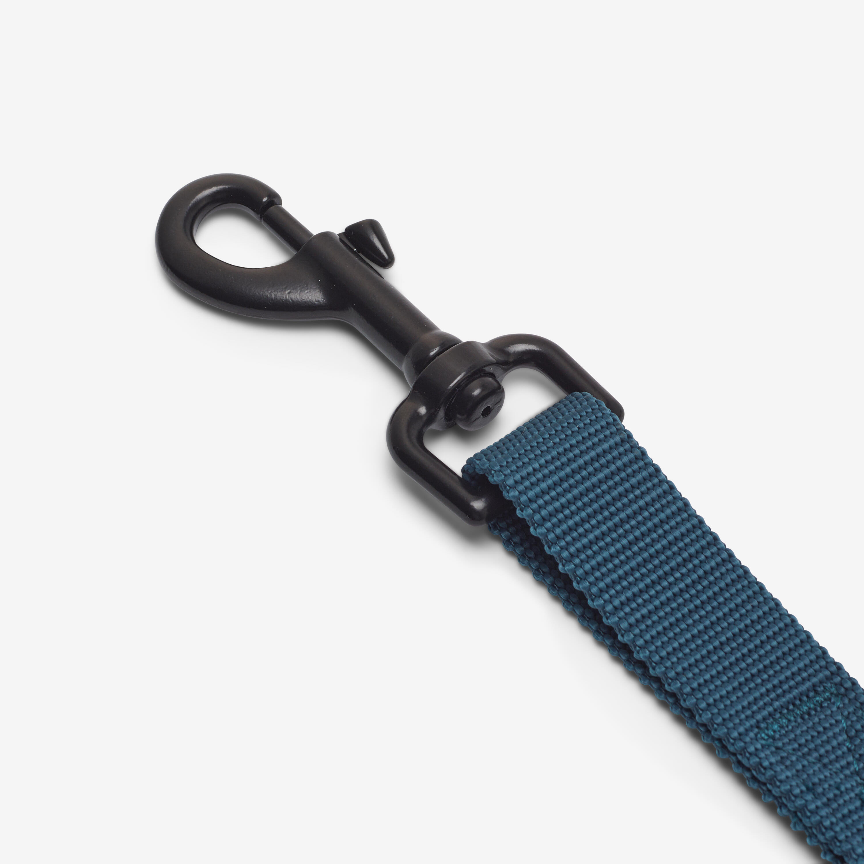 Dog Longline Lead 5 m Blue 100 SOLOGNAC | Decathlon