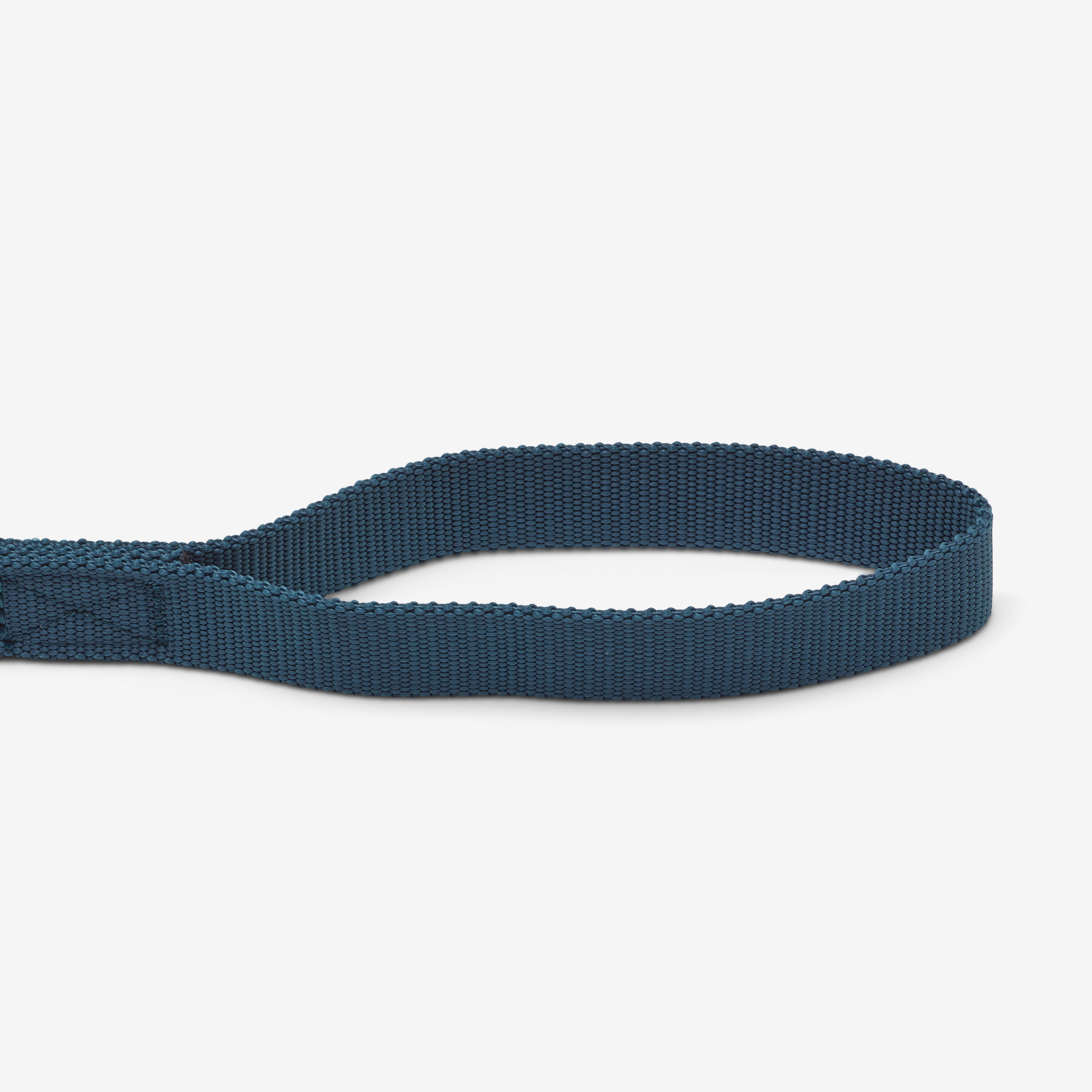 Dog Longline Lead 5 m Blue 100 SOLOGNAC | Decathlon