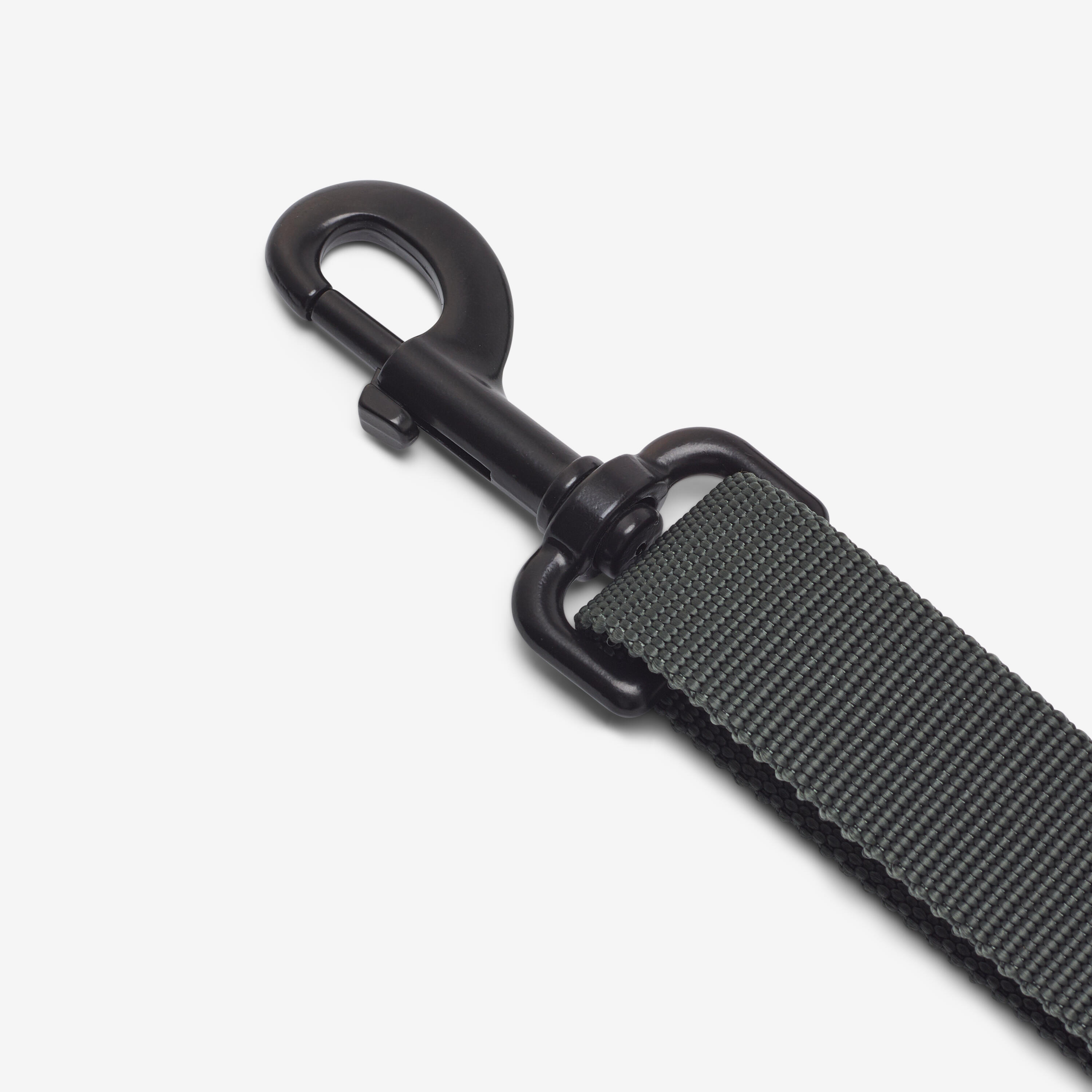 Dog Lead 10 m green 100 SOLOGNAC | Decathlon