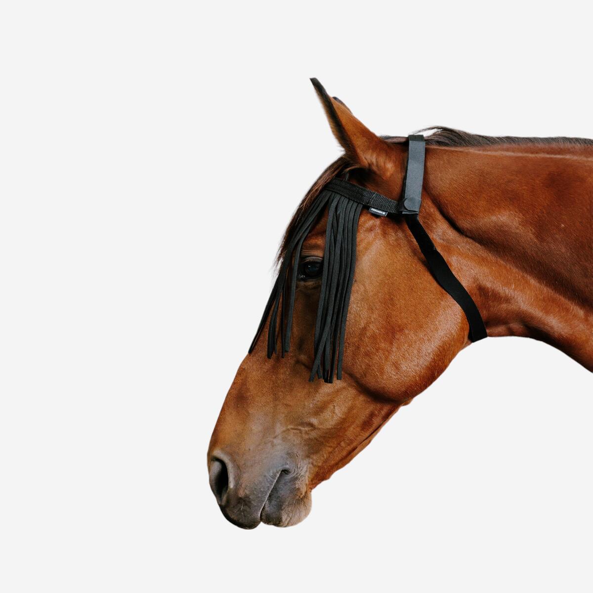 Horse Riding Pasture Fly Fringe for Horse and Pony - Black - Decathlon