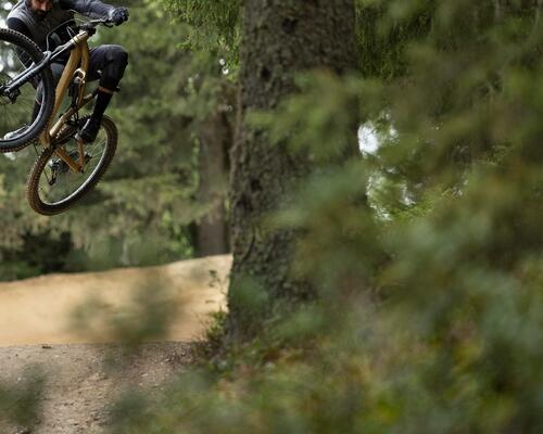 6 BONNES RAISONS DE FAIRE DU VTT