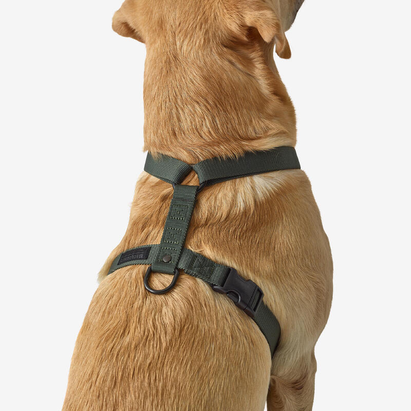 Postroj pro psa 100 SOLOGNAC - Decathlon