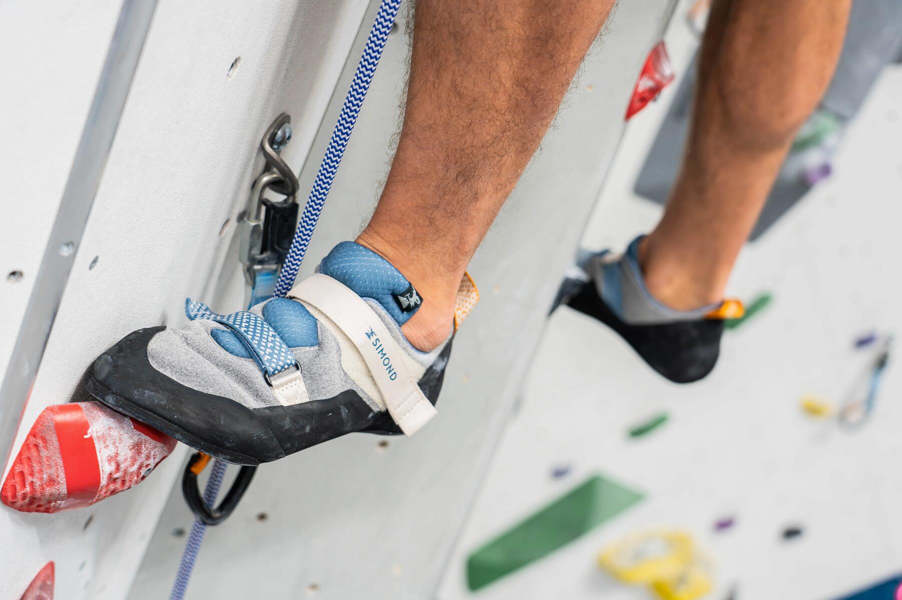 Cómo elegir pies de gato