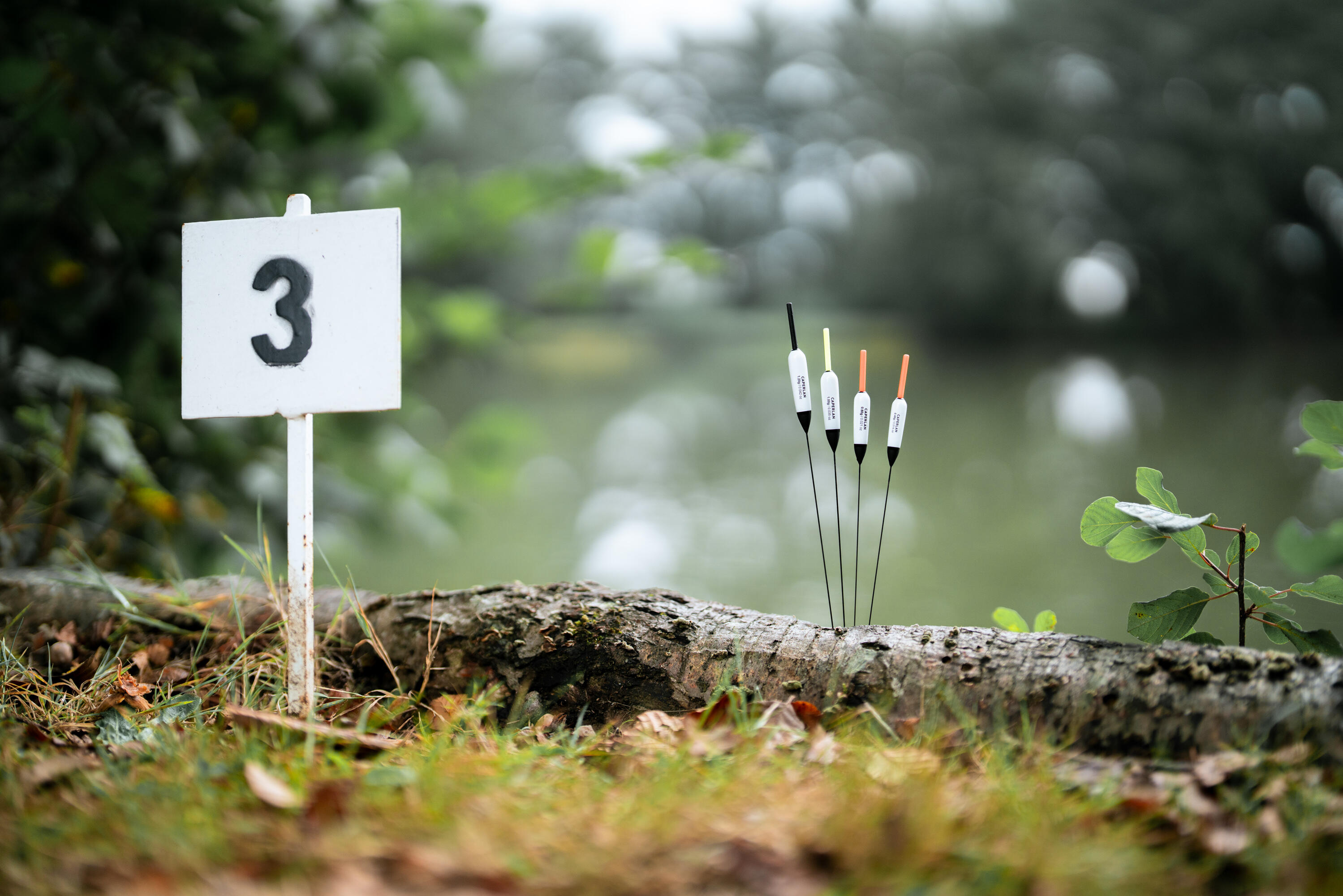 PACK OF 2 CARP STILL-FISHING FLOATS PF - F900 C14 1.2g CAPERLAN | Decathlon