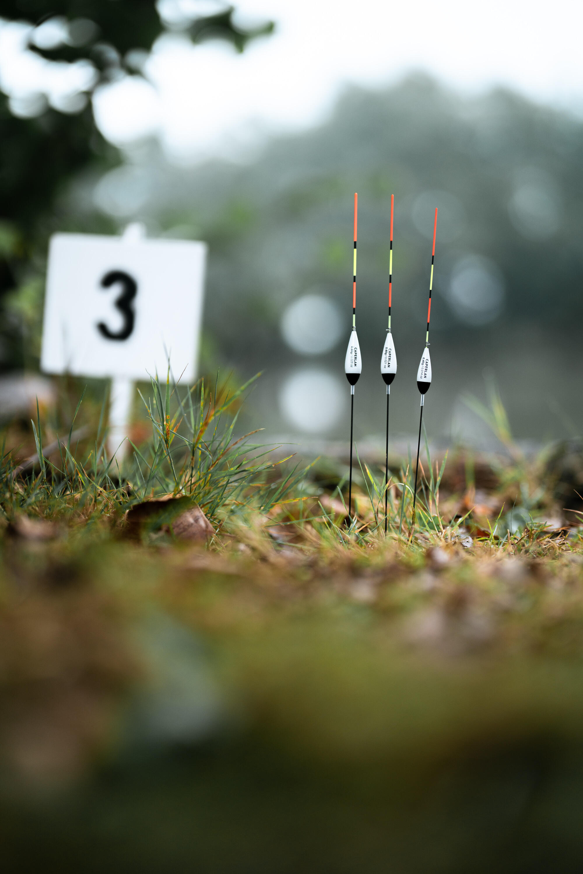 PACK OF 2 CARP STILL-FISHING PASTE FLOATS PF - F900 C15 0.8g CAPERLAN ...