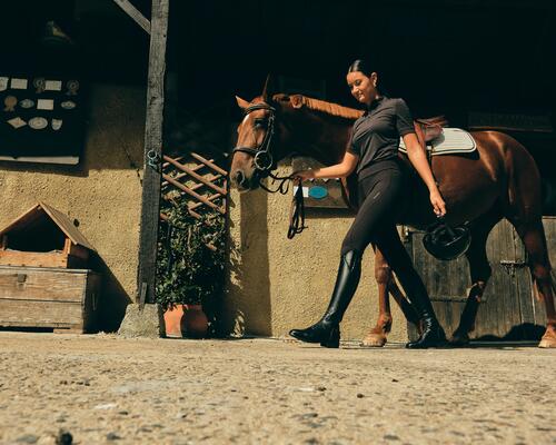 Pferd richtig satteln: So geht's!