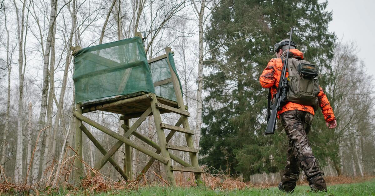 Driven hunt: hunting in complete safety