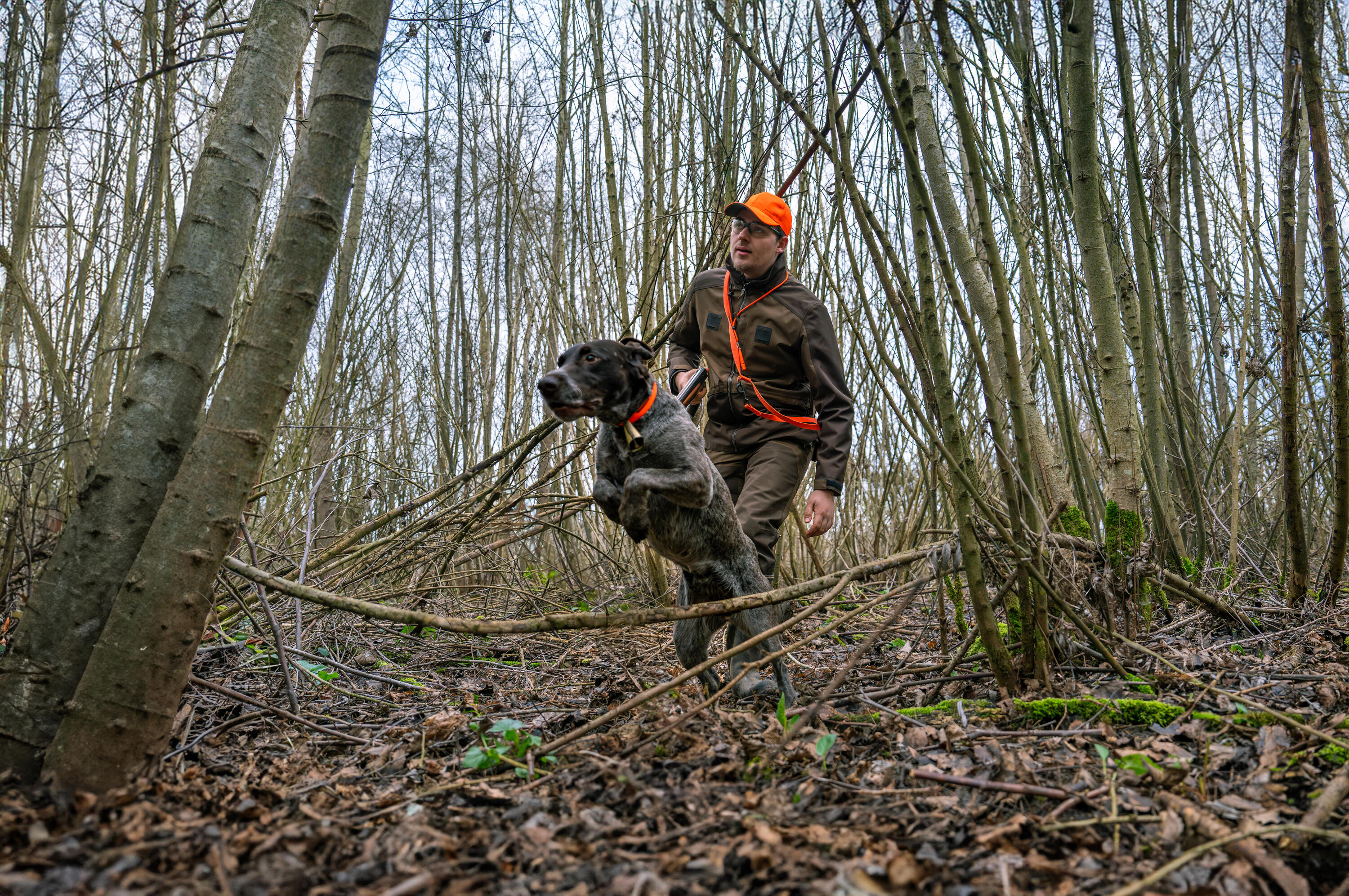 Tri-position Dog Lead - Orange SOLOGNAC | Decathlon