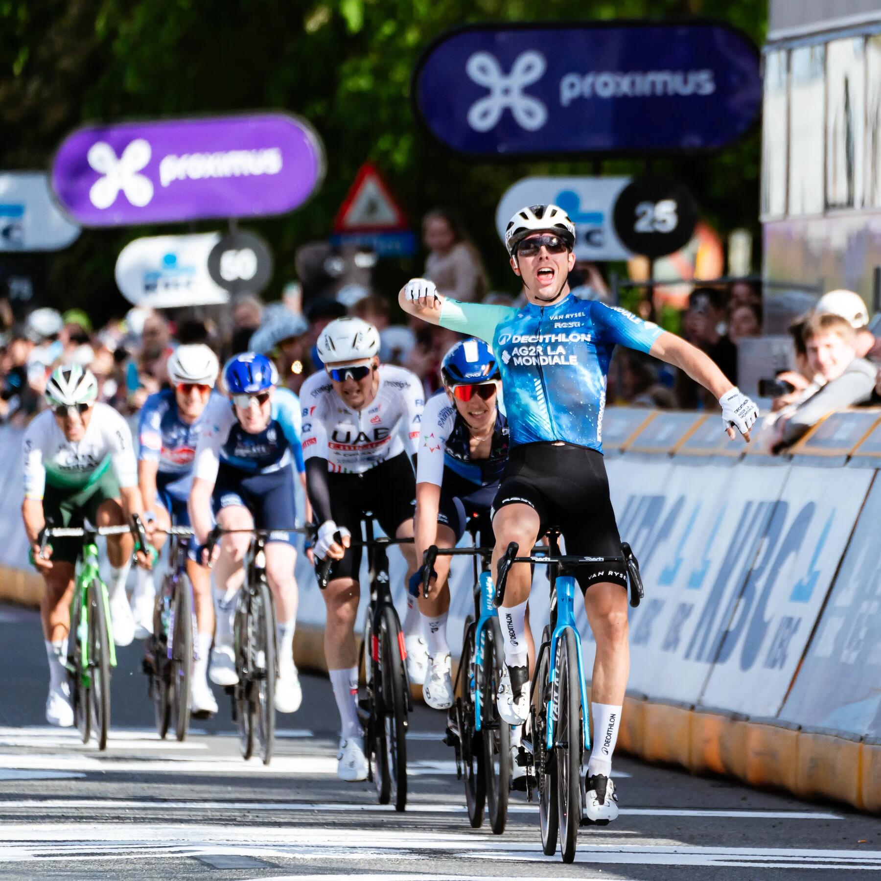 Who are we at VAN RYSEL?