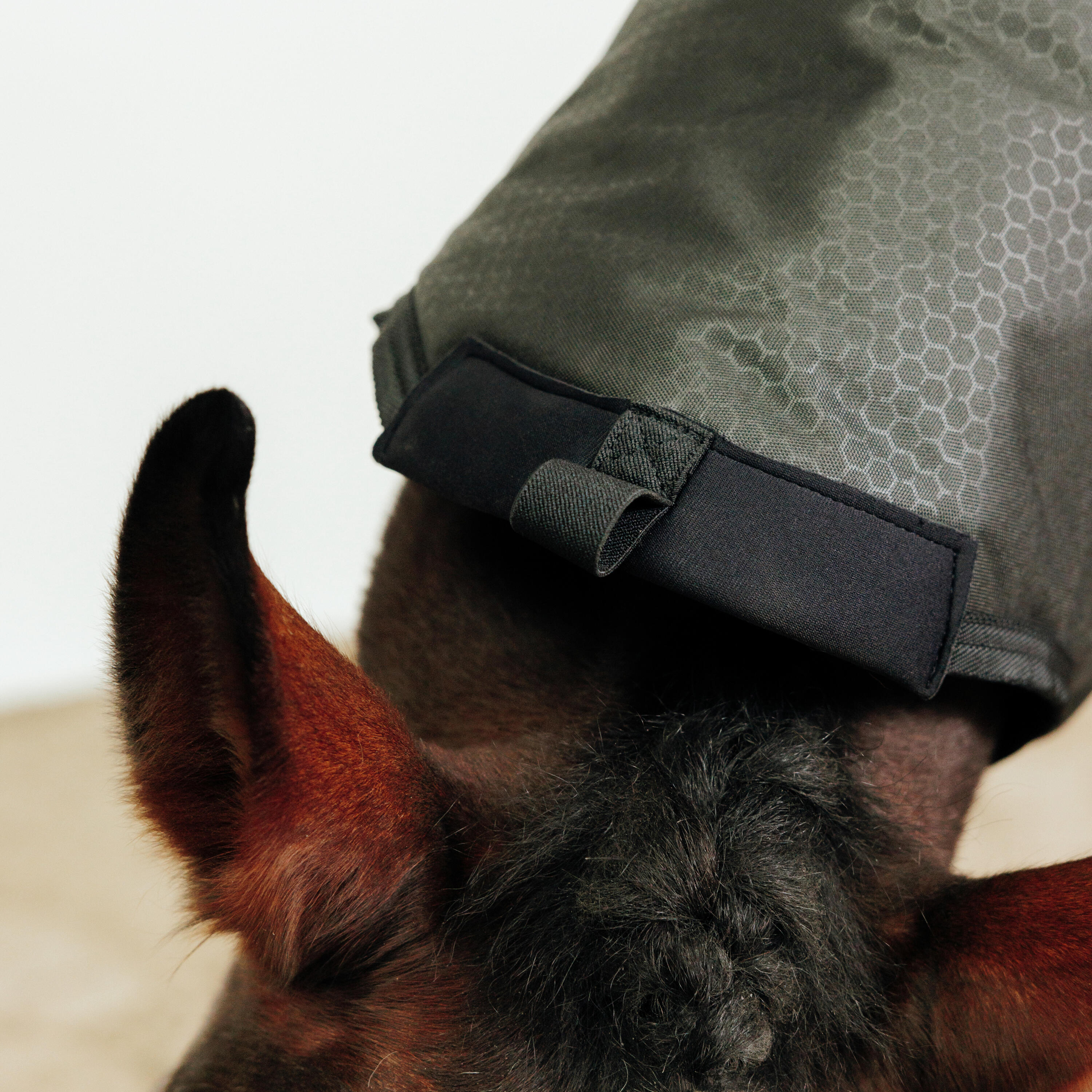 Horse Riding Waterproof Neck Cover for Horse Allweather 200 g - Black ...