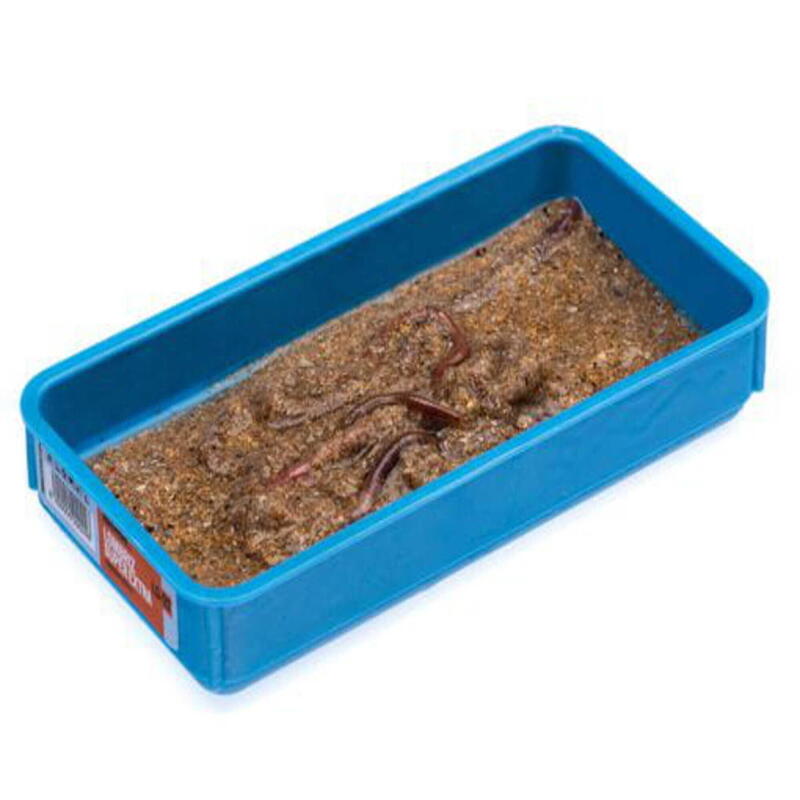 LOMBRIZ SUPER EXTRA 5 UNIDADES MI CEBO | Decathlon